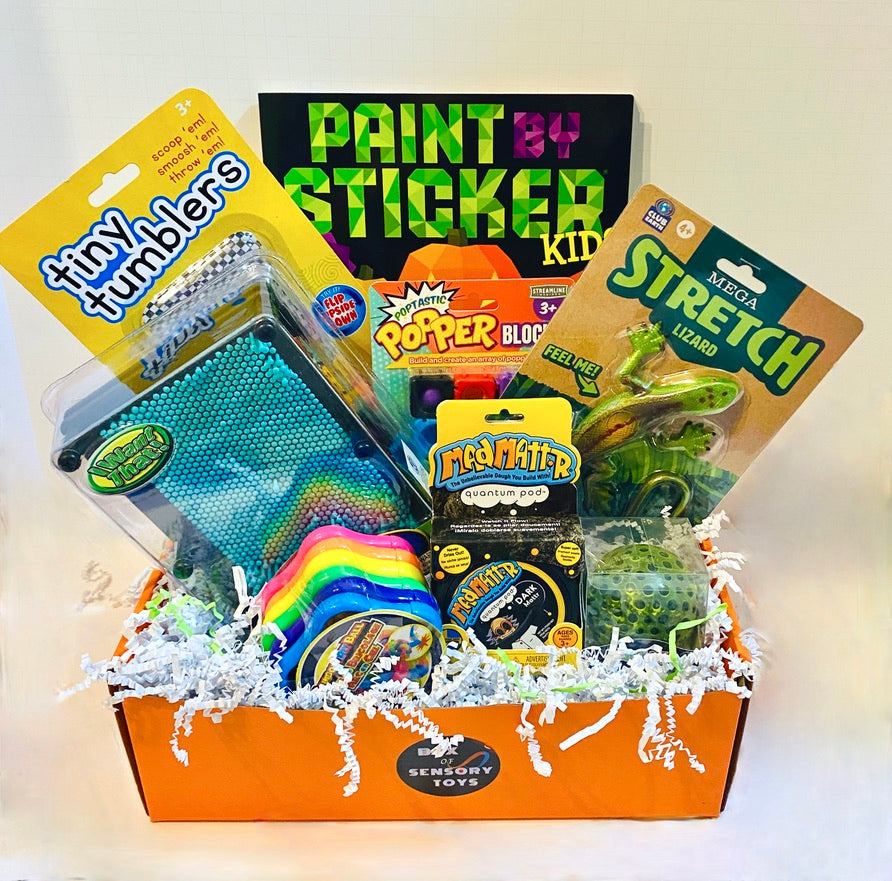 Mystery Sensory Box - One Time Gift – Box of Sensory Toys