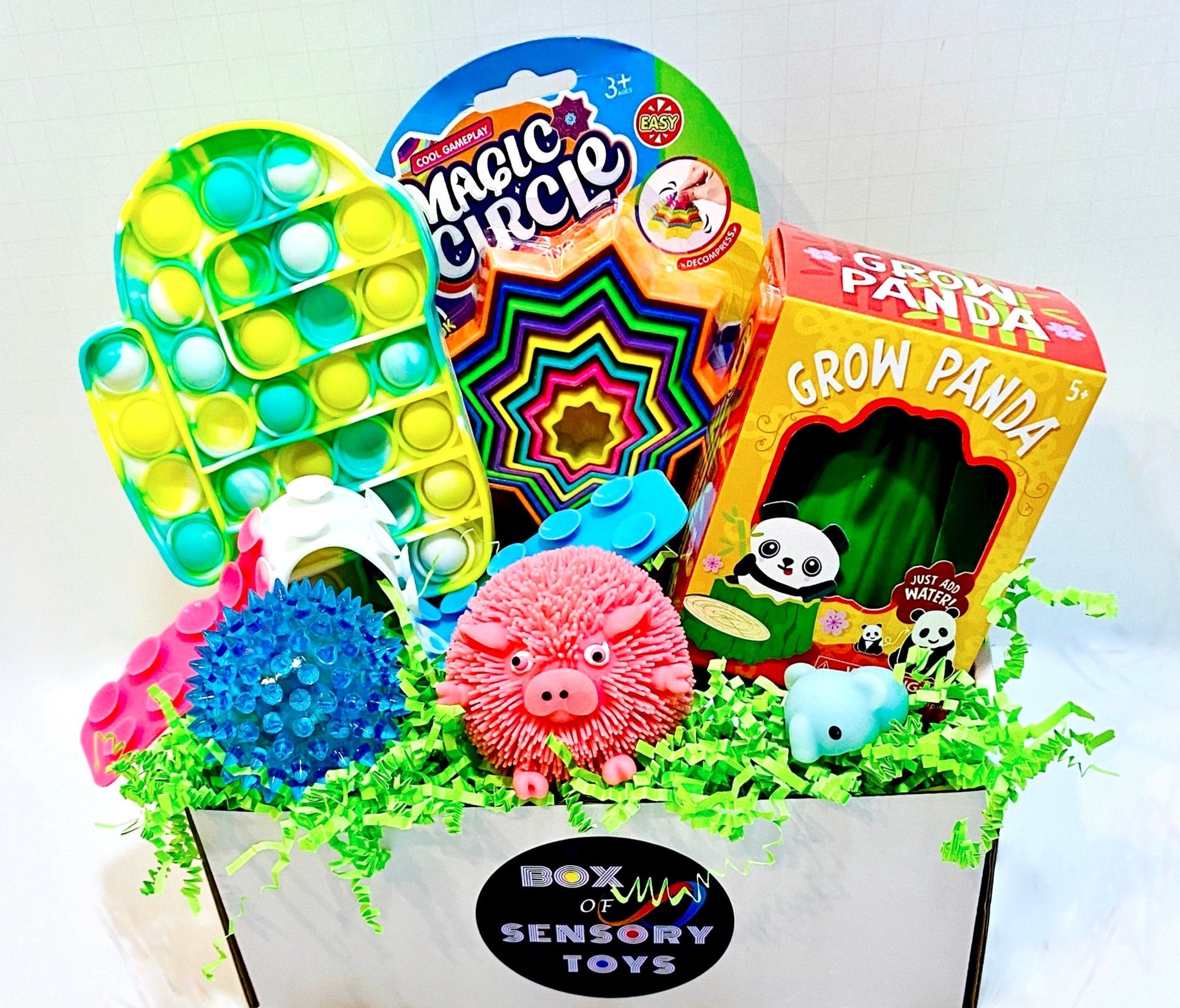 FIDGET TOYS BOX 💛 (Monthly) – Box of Sensory Toys