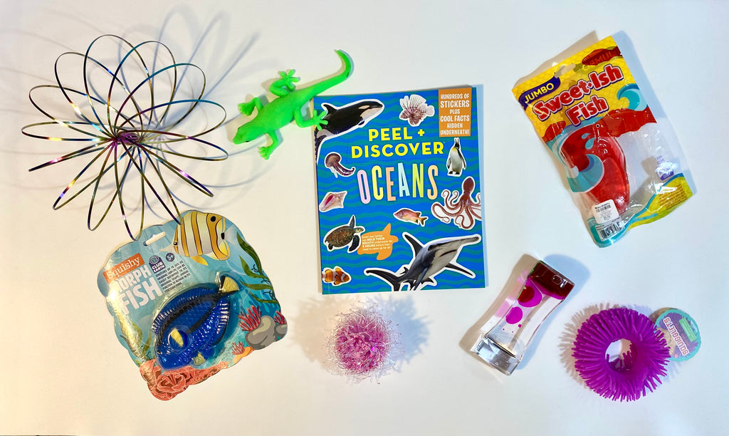 Mystery Sensory Box - One Time Gift – Box of Sensory Toys